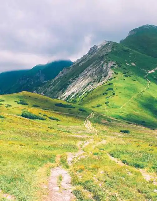 보좌관 연봉과 실수령액 공개- 베트레나